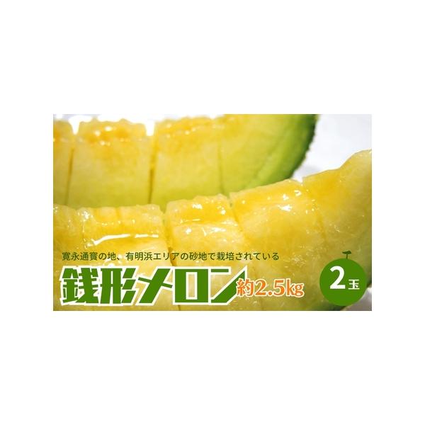 ■ 容量　2玉入り（約2.5kg）　■ 配送について　2026年7月中旬〜8月下旬　　タイプ：【常温】