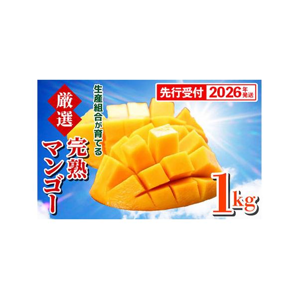 ■ 容量　マンゴー約1kg（2玉〜3玉）　※玉数の指定はできません。　　アレルギー品目：ウルシ科■ 配送について　2026年6月中旬〜7月末頃を予定　タイプ：【冷蔵】