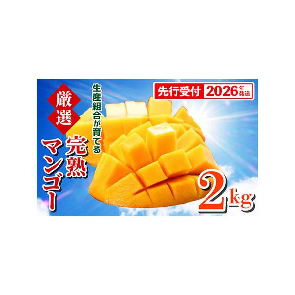 ■ 容量　マンゴー約2kg（4玉〜6玉）　※玉数の指定はできません。　　アレルギー品目：ウルシ科■ 配送について　2026年6月中旬〜7月末頃を予定　タイプ：【冷蔵】