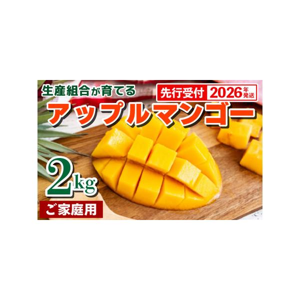 ■ 容量　マンゴー約2kg（4玉〜6玉）　※玉数の指定はできません。　※多少のキズがあるため、ご家庭用としてお召し上がりください。　　アレルギー品目：ウルシ科■ 配送について　2026年6月中旬〜7月末頃を予定　タイプ：【冷蔵】