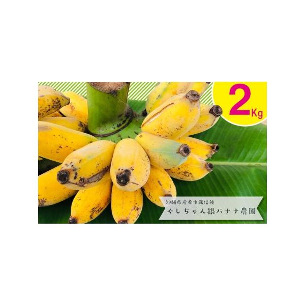 ■ 容量　ぐしちゃん銀バナナ約２Kg■ 配送について　寄付受付から1ヶ月〜2ヶ月　タイプ：【常温】