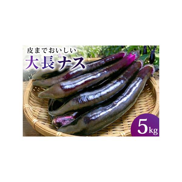 ■ 容量　■内容量　長ナス5kg　※箱重量含む　　■消費期限　発送から7日間　※到着後は、お早めにお召し上がりください。　　■保存方法　冷暗所もしくは冷蔵保存　　■事業者　ナス屋マルタイ■ 配送について　2026年4月前半?2026年10月...