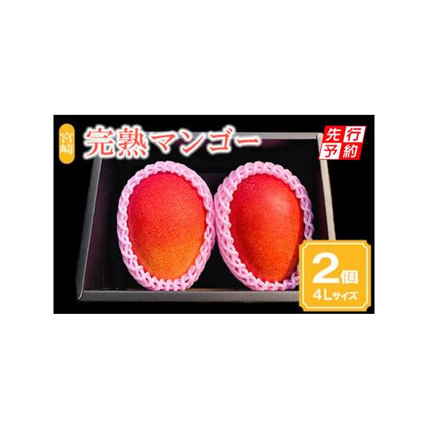 ■ 容量　宮崎完熟マンゴー2玉　4Lサイズ(1玉450〜499g)　(原産地:宮崎市)■ 配送について　2026年3月中旬〜8月15日に順次発送予定　※一部離島にはクール便でのお届けが出来ませんのでご注意ください。　タイプ：【冷蔵】