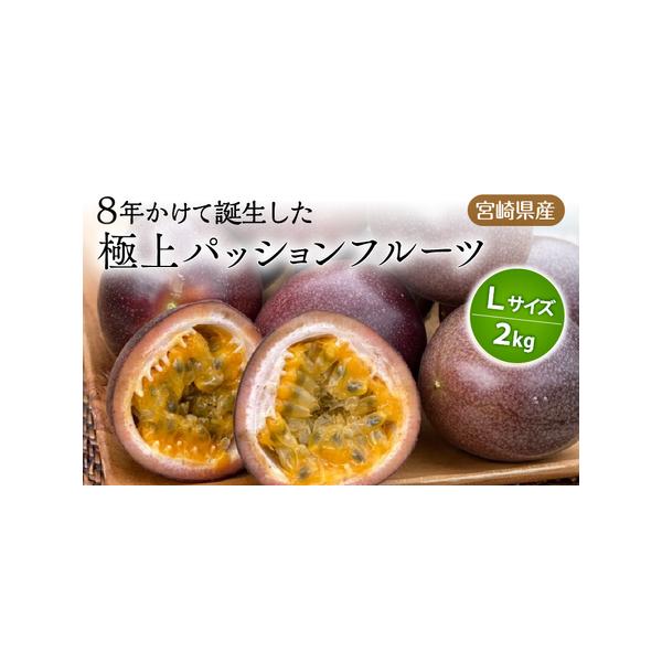 ■ 容量　宮崎県産パッションフルーツ Lサイズ　1kg×2ケース 計2kg　(原産地：宮崎県宮崎市)■ 配送について　2026年6月下旬〜8月中旬に順次発送予定　タイプ：【常温】
