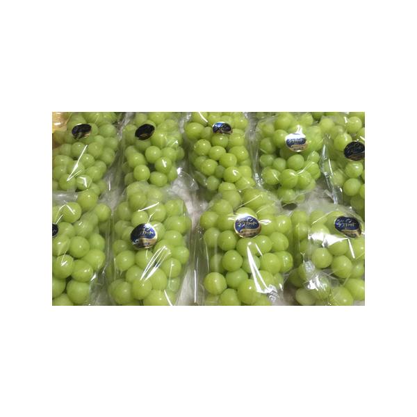 ■ 容量　シャインマスカット 1房 600g前後　糖度18度前後　・特徴　芳醇な香り、端切れの良さ、大粒、種無し、爽やかな甘さ　※お届け日の指定は申し訳ないですが、お受けできません。　※天候不順により希に種が混ざることがあります。　■ 配送...