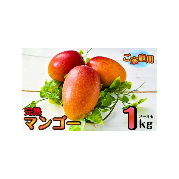 ■ 容量　約1kg（2〜3玉）　（段ボール入り）■ 配送について　令和8年5月下旬〜8月上旬の順次発送予定　※天候により発送時期が前後する場合がございます　※生ものですので、ご不在・ご転居等ございましたら必ずご連絡ください　タイプ：【冷蔵】