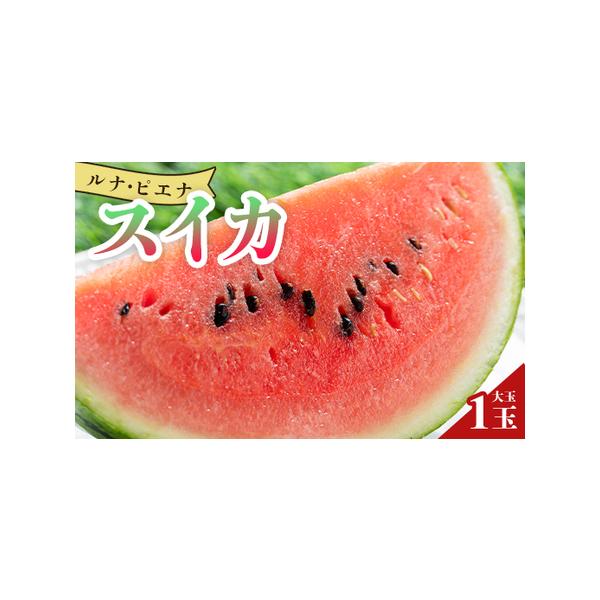 ■ 容量　■ルナ・ピエナスイカ（大玉）×１玉■ 配送について　2026年5月下旬〜7月下旬発送予定　※生育状況により、発送期日が前後する場合があります　※期日指定はできません　※不在日がある場合は備考欄へご記載ください　タイプ：【常温】【ギ...