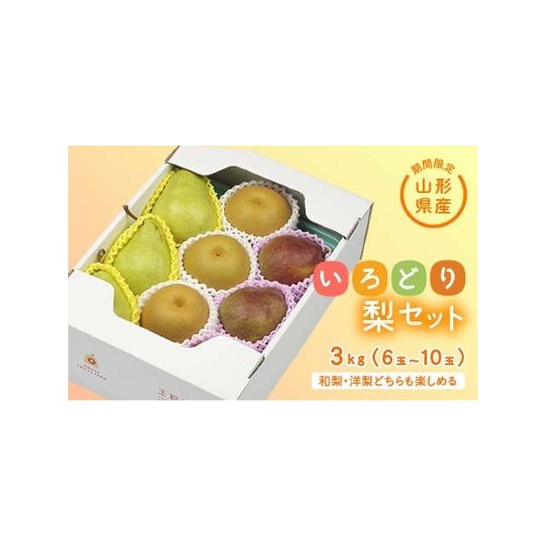 ■ 容量　3kg（6〜10玉）　■ 配送について　2026年9月上旬頃〜10月中旬頃　　タイプ：【冷蔵】