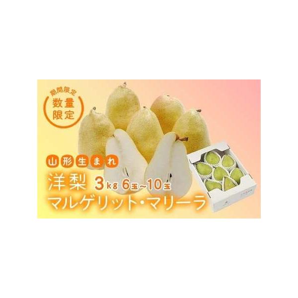 ■ 容量　3kg（6〜10玉）■ 配送について　2026年9月中旬頃〜10月上旬頃　　タイプ：【常温】