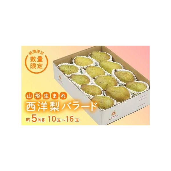 ■ 容量　バラード5kg（10玉〜16玉）■ 配送について　2026年10月上旬頃〜10月下旬頃　タイプ：【常温】