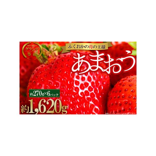 ■ 容量　１パック 約２７０ｇ前後 ×６パック　※約１６２０ｇ前後（1パック約5〜15粒）　※大きさのバラつきや形・色の不揃いがございます。ご理解いただける方のみお申込みお願いいたします。　　●あまおうは実が柔らかい品種のため、梱包には十分...