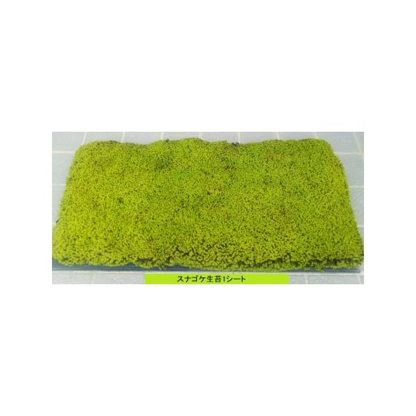 ■ 容量　スナゴケ生苔：6シート■ 配送について　〇お届け日の指定は出来ません。　〇ダンボールに乾燥状態で梱包してお届けします。　〇北海道・沖縄・その他の離島へのお届けは出来ません。予めご了承ください。