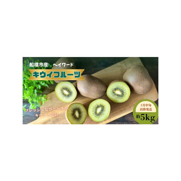 ■ 容量　キウイフルーツ（ヘイワード）　5kg　■ 配送について　2026年1月中旬以降随時発送予定　※配達日指定はできませんので予めご了承ください。　タイプ：【常温】