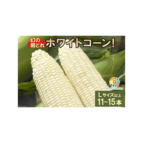 ■ 容量　■内容量　ホワイトコーンLサイズ（約290g/本）以上×11〜15本　　■原材料　ホワイトコーン　　■消費期限　収穫日より冷蔵保存で1週間程度　　■保存方法　冷蔵　　■事業者　BunkouFarms島原合同会社■ 配送について　2...