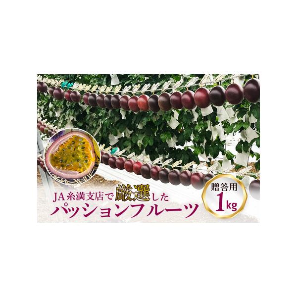 ■ 容量　パッションフルーツ贈答用 約1kg（8〜14個）×1箱※個数の指定はできません。■ 配送について　発送は2026年4月上旬〜6月下旬予定です。　タイプ：【常温】