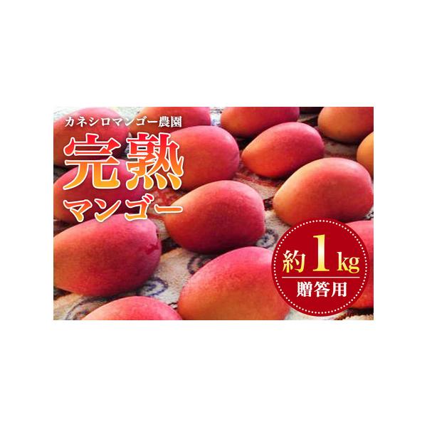 ■ 容量　マンゴー約1kg（2玉〜3玉）贈答用■ 配送について　2026年6月下旬〜7月下旬頃予定　タイプ：【冷蔵】