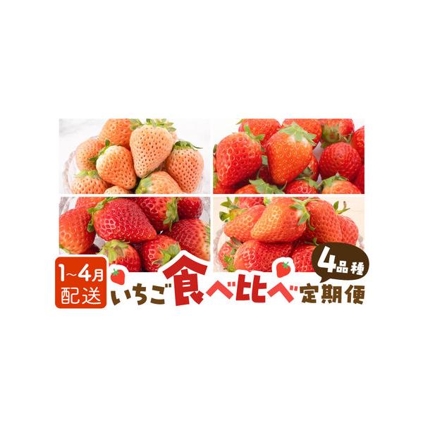 ■ 容量　1月 さがほのか220g×2パック　2月 いちごさん230g×2パック　3月 よつぼし220g×2パック　4月 淡雪220g×2パック　　生鮮品のため、お早目にお召し上がりください。　お届け時期は収穫状況により前後する場合がござい...