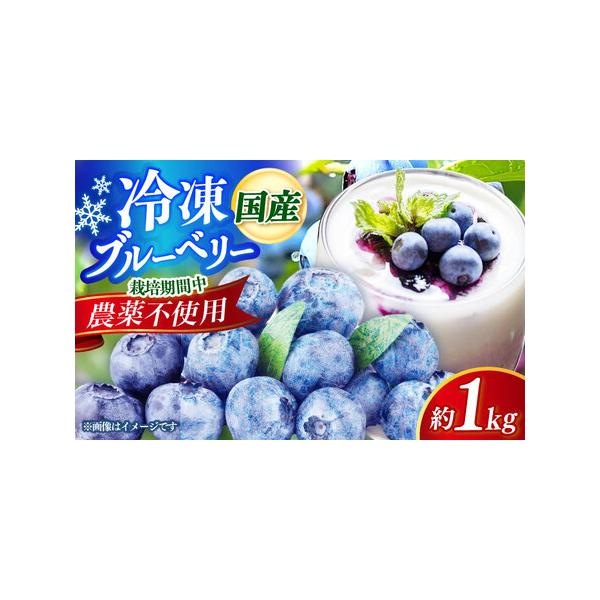 ■ 容量　築上町産冷凍ブルーベリー 1kg（1袋）■ 配送について　【先行予約受付中】　2025年9月以降順次発送　　※お申し込み状況によっては、お届けまでにお時間を頂戴することがございます。　※冷凍便です。　タイプ：【冷凍】
