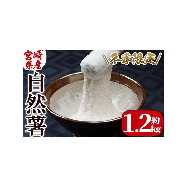 ■ 容量　自然薯：1.2kg　※自然薯は２本になる場合がございます。　あらかじめご了承ください。■ 配送について　入金確認後、約1ヶ月以内に発送　※お申込みが集中した場合や、年末年始（11月〜翌年2月）を含む繁忙期には、通常よりもお届けまで...