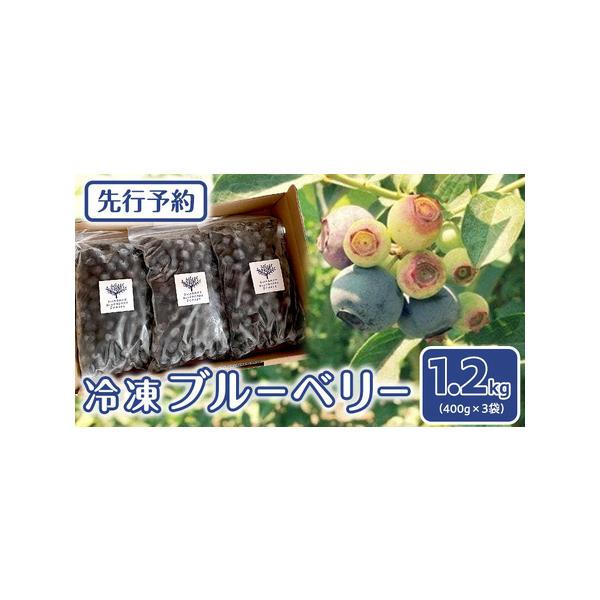 ■ 容量　冷凍 ブルーベリー約400g×3袋■ 配送について　2026年7月上旬頃より収穫後、発送開始　収穫後は入金確認後、1週間〜1ヶ月前後でお届け予定　最終発送：2026年12月下旬頃　※生育状況により、前後する場合がございます。　タイ...
