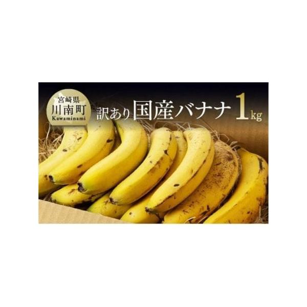 ■ 容量　訳あり国産バナナ１ｋｇ（10本〜13本程度※個体差がありますので入数は前後することがございます。予めご了承ください。）■ 配送について　入金確認後1ヶ月から2ヶ月程度で発送予定　※生育状況によりお時間を要する場合がありますことご了...