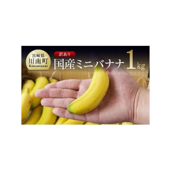 ■ 容量　訳あり国産ミニバナナ1ｋｇ（11本〜13本程度※個体差がありますので入数は前後することがございます。予めご了承ください。）■ 配送について　入金確認後1ヶ月から2ヶ月程度で発送予定　※生育状況によりお時間を要する場合がありますこと...