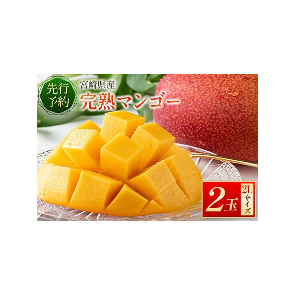 ■ 容量　宮崎県産 完熟マンゴー2L×2玉■ 配送について　2026年5月中旬〜2026年7月下旬の期間内に出荷　タイプ：【冷蔵】【ギフト】