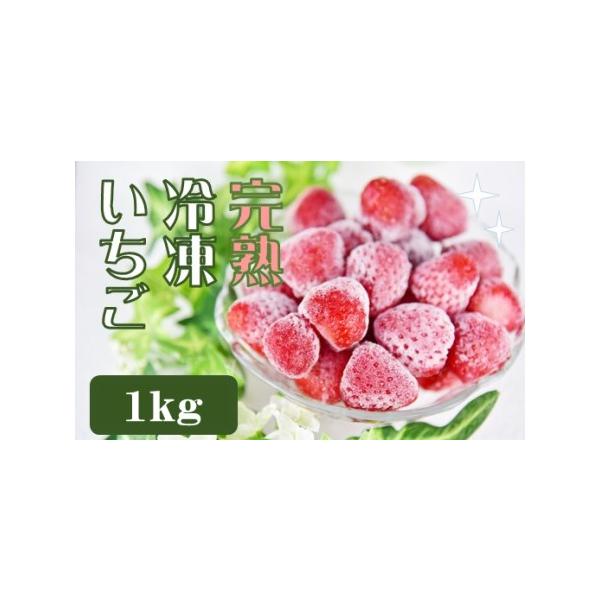 ■ 容量　冷凍いちご1,000g×1袋■ 配送について　ご寄附順から順次配送いたします。　長期ご不在の場合の再配送は致しかねますので、予めご了承ください。　毎年大好評につき、お待たせする可能性がございますので、ご理解のほどよろしくお願いいた...