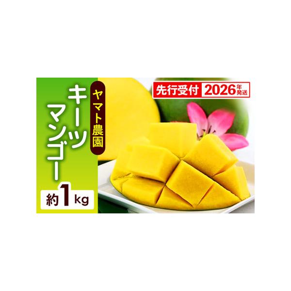 ■ 容量　キーツマンゴー約1kg（1〜2玉）　※玉数の指定はできません　※数に限りがございます。申込数が予定数に達し次第締め切らせて頂きます。　　アレルギー：ウルシ科■ 配送について　2026年8月中を予定　タイプ：【冷蔵】