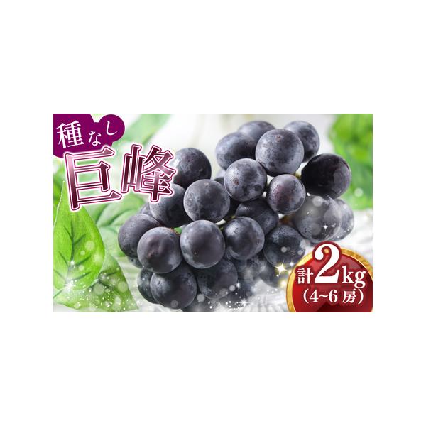 ■ 容量　種無し巨峰２ｋｇ（4〜6房）　　【消費期限】　出荷日から4日　　【配送不可地域】　・北海道　・沖縄　・離島　　【注意事項】　・冷蔵庫の方で保管して早めにお召し上がり下さい　・脱硫や味のお問い合わせは一切受けません　・粒の大きさや味...