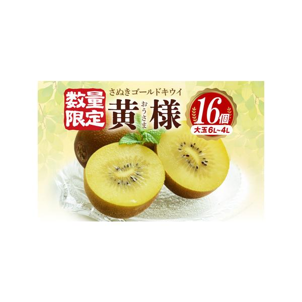 ■ 容量　【さぬき讃フルーツ認定品】　さぬきゴールドキウイ「黄様」大玉16個入り（６L〜４L）×1箱■ 配送について　※本商品は【キウイ】の収穫時期にあわせた期間限定出荷商品です。 　 【収穫時期：毎年10月中旬頃〜11月下旬頃】を予定して...