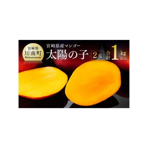 ■ 容量　太陽の子２玉（計1kg以上）■ 配送について　ご入金確認後、令和8年初夏から夏にかけてご注文順に順次発送。　※生育状況により、発送時期が遅れる場合があります。ご了承ください※　タイプ：【冷蔵】