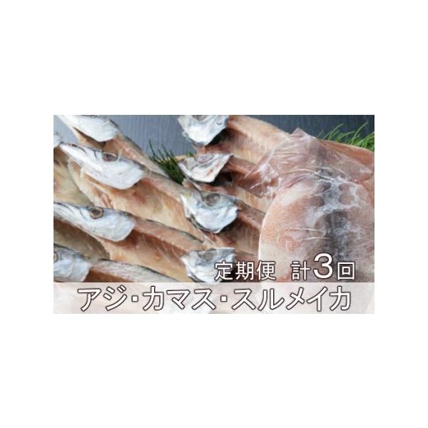 ■ 容量　・アジ開き：5枚　・カマス開き：5枚　・スルメイカ：１枚■ 配送について　ご入金確認日の翌月から３か月連続でお届けします。　ご注意：離島地域への配送は承れません。　タイプ：【冷凍】【定期】