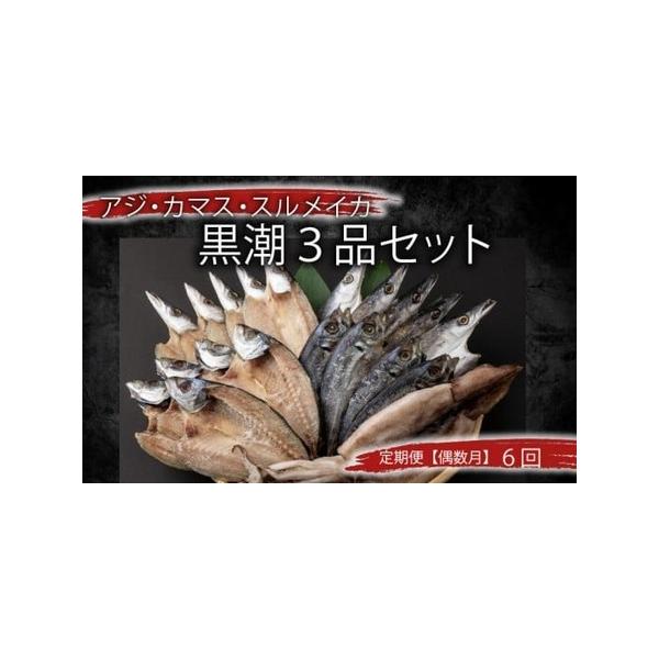 ■ 容量　・アジ開き：5枚　・カマス開き：5枚　・スルメイカ：１枚■ 配送について　ご注意：離島地域への配送は承れません。　タイプ：【冷凍】【定期】