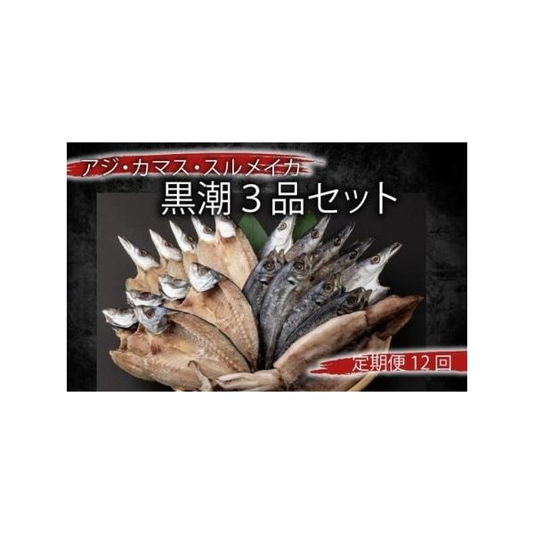 ■ 容量　・アジ開き：5枚　・カマス開き：5枚　・スルメイカ：１枚■ 配送について　ご入金確認日の翌月から12か月連続でお届けします。　離島地域への配送は承れません。　タイプ：【冷凍】【定期】