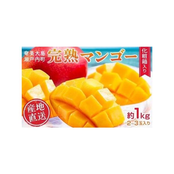 ■ 容量　化粧箱1箱　（約1kg　2〜3玉入り）　【賞味期限】　発送より冷蔵で約1週間■ 配送について　2026年7月下旬から8月中旬頃順次配送予定（青果物の為、その年の収穫時期が多少ずれることがあります。）　【受付期間】　2025年4月1...