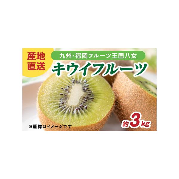■ 容量　キウイフルーツ（ヘイワード）約3.0kg■ 配送について　2026年12月頃発送開始　タイプ：【冷蔵】