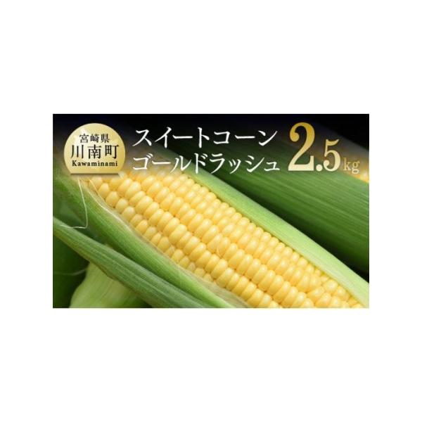 ■ 容量　スイートコーン(ゴールドラッシュ) 2.5kg以上　※目安：5〜8本■ 配送について　ご入金確認後、令和8(2026)年5月中旬から7月上旬にかけご注文順に順次発送。　※天候などの影響により発送開始が遅れる場合がありますこと、ご了...