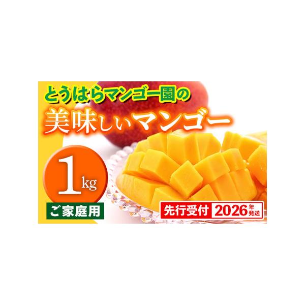 ■ 容量　家庭用 約1kg（2〜3玉）　※玉数の指定はできません　※数に限りがございます。申込数が予定数に達し次第締め切らせて頂きます。　※こちらの商品は「家庭用」となります。黒い斑点やキズ跡、色・形・不揃い等の理由から見た目が劣りますが、...