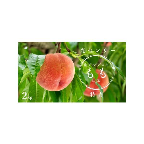 ■ 容量　光センサー桃「特青」約2ｋg(6〜8玉入り)■ 配送について　2026年6月下旬〜7月下旬　順次発送　　！！必ずお読みください！！　★以下の注意事項を必ずお読みいただき、その旨ご理解、ご了承の上でお申込いただきますよう、よろしくお...