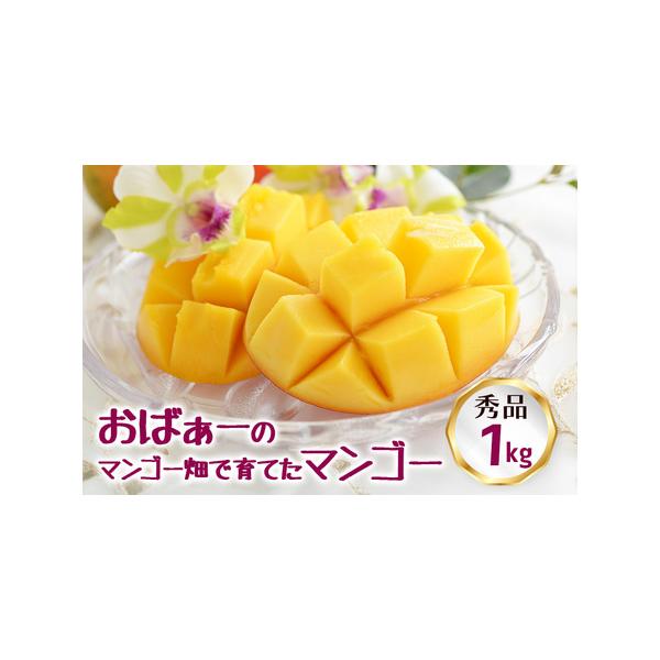 ■ 容量　マンゴー　1kg（2玉〜5玉）秀品※玉数の指定はできません。■ 配送について　2026年6月下旬〜8月上旬頃予定　タイプ：【冷蔵】