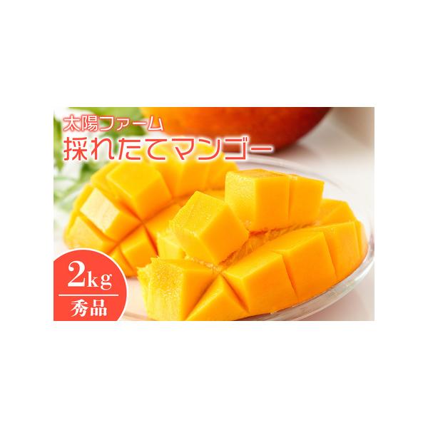 ■ 容量　マンゴー　2kg（4玉〜8玉）秀品※玉数の指定はできません。■ 配送について　2026年6月上旬〜7月下旬予定　タイプ：【冷蔵】