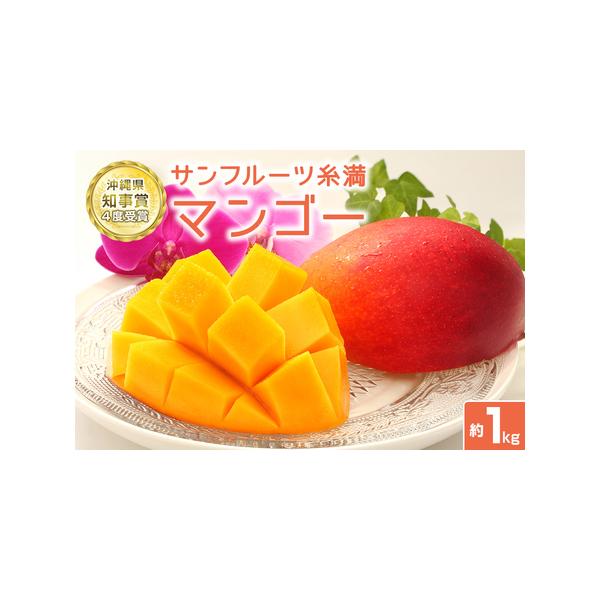 ■ 容量　マンゴー　約1kg（2〜3玉）※玉数の指定はできません。■ 配送について　2026年6月中旬〜7月下旬頃予定　タイプ：【冷蔵】