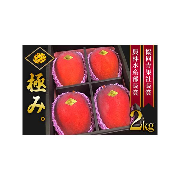 ■ 容量　アーウィンマンゴー極　2kg(4玉〜5玉)贈答品※玉数の指定はできません。ご了承下さい。■ 配送について　2026年6月下旬〜7月下旬頃予定　タイプ：【冷蔵】