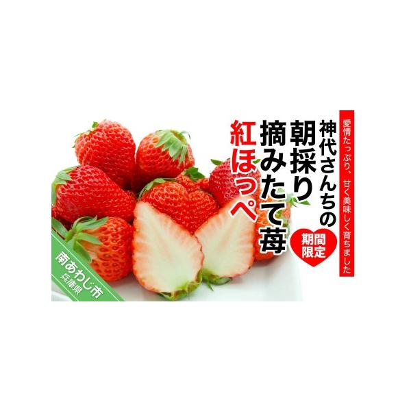 ■ 容量　４パック（1パック当たり 約280ｇ）■ 配送について　１月中旬以降、お申込みをいただいた順に発送します。　※北海道、東北、九州、沖縄、離島地域には配送できません。ご了承ください。　タイプ：【冷蔵】