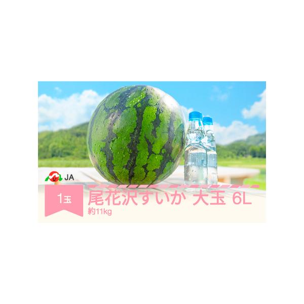 ■ 容量　尾花沢すいか 6Lサイズ 約11kg前後×1玉　※11kg/玉に満たない場合もございます。　■ 配送について　7月中旬~8月上旬頃発送　※生育状況等の影響により、配送時期が前後する場合がございます。　タイプ：【常温】