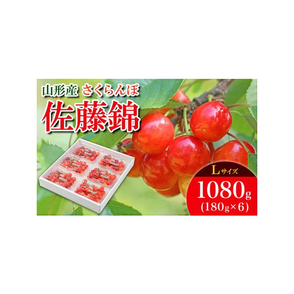 ■ 容量　【令和8年産】　佐藤錦 L 佐藤錦 1080g (180g×6パック）■ 配送について　【申込期日】2026年05月31日まで　【発送期間】2026年06月01日頃〜2026年06月30日頃　※状況により配送時期が前後する場合がご...