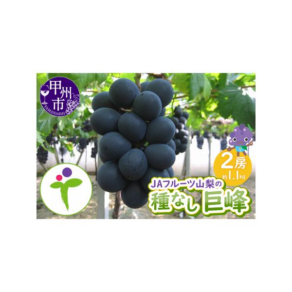 ■ 容量　巨峰 約1.1kg（2房）　　【申込期日】　2026年9月上旬頃まで　【消費期限】　到着次第、お早めにお召し上がりください。　　【注意事項】　※上記注意事項を必ずご確認ください。　※画像はイメージです。　※収穫時期により発送時期が...