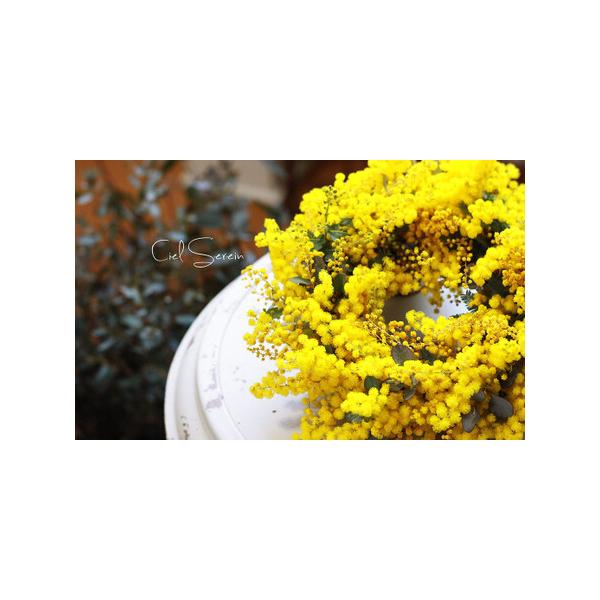 ■ 容量　直径約25cm　リース箱に入れてお届け致します。■ 配送について　2026年2月下旬〜3月下旬まで順次発送予定　※天候や発送状況により多少前後する場合がございますので、予めご了承ください。　タイプ：【常温】