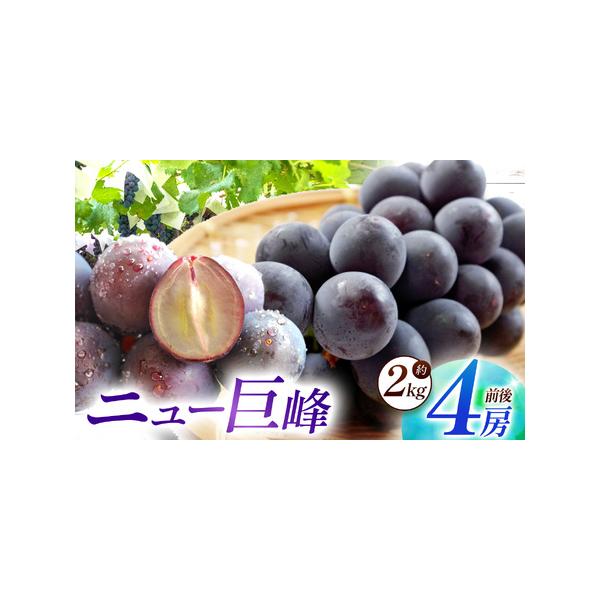 ■ 容量　約2kg（4房程度）■ 配送について　受付期間：2025年10月1日〜2026年8月31日　　2026年8月〜9月の期間で順次発送いたします。　※配送日は指定できません。　※天候により、発送時期が変更となる場合がございます。　※返...